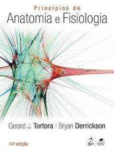 10 Melhores Livros de Anatomia Humana [2024] - Livros e Atitudes